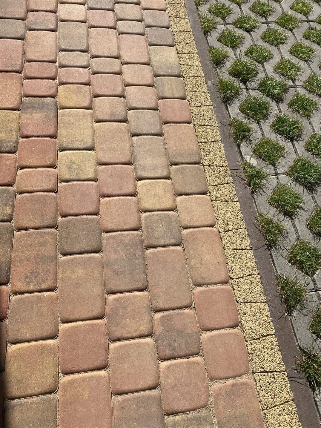 Nostalit gładki – Ginter Chojnice